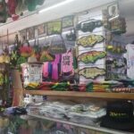 Ochi Shore Excursion: Bamboo Blu Beach, Shopping & Sightseeing - What’s Included & What to Consider
