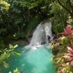 Ocho Rios: Blue Hole and Dunns River Falls Experiences - Exploring Island Gully Falls