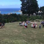 Ocho Rios: Blue Hole and Secret Falls Sightseeing Tour - What Travelers Are Saying