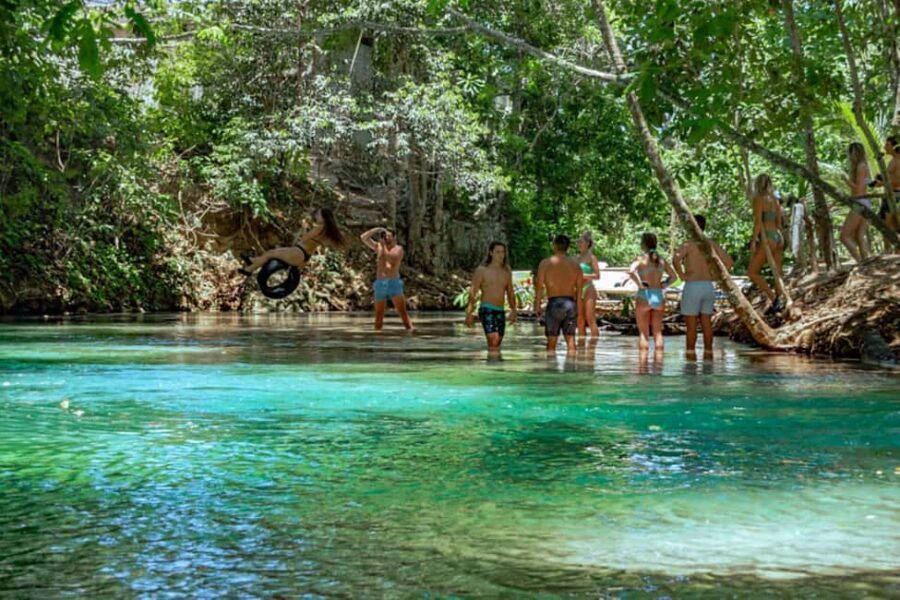 Ocho Rios: Dunns River Falls & Reggae Hill Tour - Practical Details That Matter to You