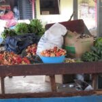 Ocho Rios: Food Walking Tour - An In-Depth Look at the Tour Experience