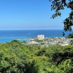 Ocho Rios: Konoko Falls, Fern Gully, and Shopping Tour - Authentic, Value-Driven, and Engaging