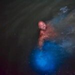 Ocho Rios Luminous Lagoon Swim Experience - What the Reviews Say