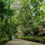 Ocho Rios Sightseeing, Beach Half-Day Tour (Admission include) - Exploring the Itinerary in Detail