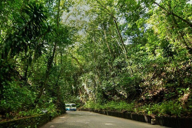 Ocho Rios Sightseeing, Beach Half-Day Tour (Admission include) - Exploring the Itinerary in Detail