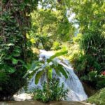 Ocho Rios: Taste of Jamaica Food Tour - In-Depth Breakdown of the Itinerary