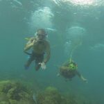 OCTOPUS DIVING (hookah diving) NO Experience Needed - Final Thoughts: Is It Worth It?