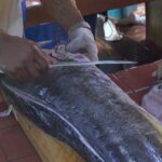 Oistins Fish Lovers' Food Tour - Practical Tips for Travelers