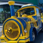 Old San Juan Trolley and Sightseeing Tour - An In-Depth Look at the Old San Juan Trolley Tour
