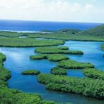 On Your Own: Kayak in the Mangrove Lagoon - The Pros and Cons: Balancing the Experience