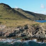 One Day Retreat. Meditation, mindful hike, concert at sea - Who Will Love This Retreat?