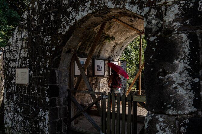 Open Air St. Kitts Tour with Island Vibes - Analyzing the Value