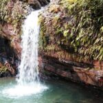 Original Tropical Rainforest and Beach Adventure - Who Should Consider This Tour?