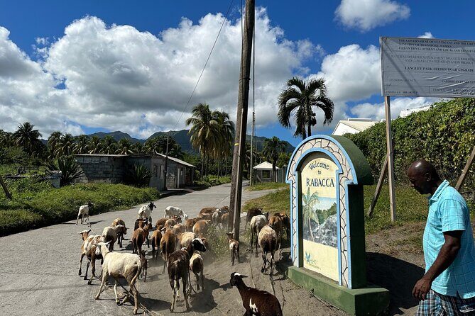 Owia Salt Pond Tour and Black Point Tunnel with Topdawg Taxi and Tours - Authentic Experiences and Valuable Insights