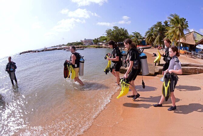PADI Discover Scuba Dive - What To Expect During the Tour