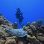 PADI Open Water Course in 3 days - The Underwater Experience