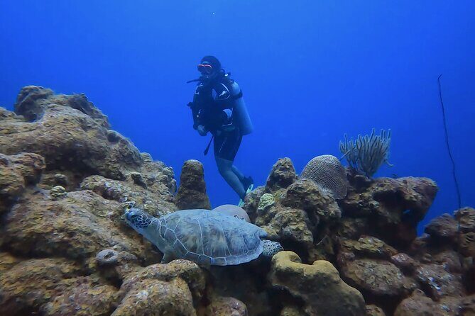 PADI Open Water Course in 3 days - The Underwater Experience