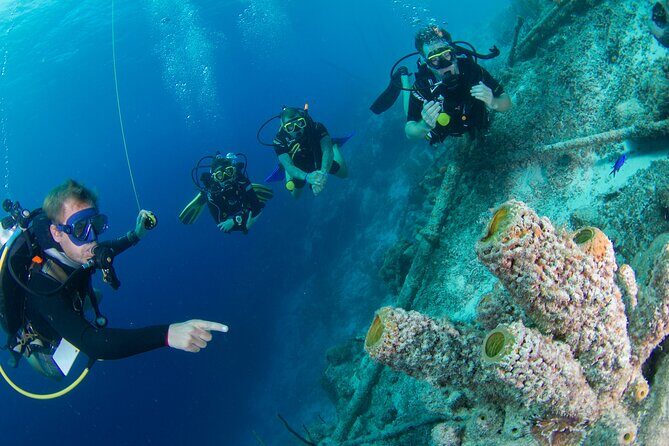 PADI Open Water Course in Curacao - The Itinerary: What to Expect