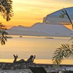 Palms Court Gardens and Restaurant Day Pass - What We Love and What to Watch Out For