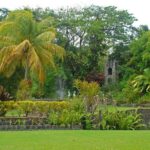 Panoramic Sightseeing Tour of St Kitts - Final Thoughts: Is It Worth It?