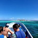 Paradise Island Private Tour, Snorkeling & Manatee Sanctuary - The Practicalities: What You Need to Know