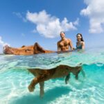 Paradise Island: Rose Island Tour with Swimming Pigs & Lunch - What the Reviews Say