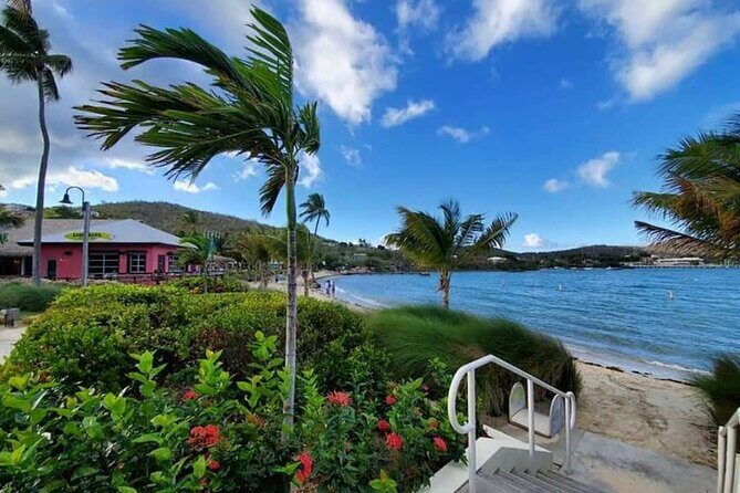 Paradise Taxi & Tours USVI-St. Thomas Airport Transfer to Wyndham Margaritaville - Evaluating the Cost and Value
