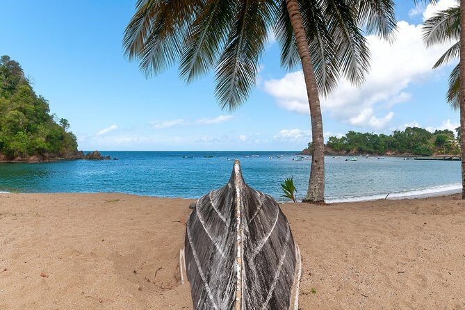 Partlatuvier Bay Day Trip with Lunch - An In-Depth Look at the Tour Experience