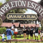 Pelican Bar south coast experience, Appleton Rum Tour and YS Falls - The Experience from Our View