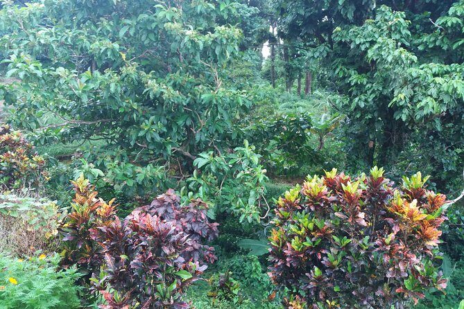 Pepper's Choice : Waterfalls, Sulphur Spa & Black Sand Beach - Final Thoughts