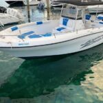 Pigs Beach, Green Turtle Cay, Rose Island Private Tour - Logistics, Comfort, and Value