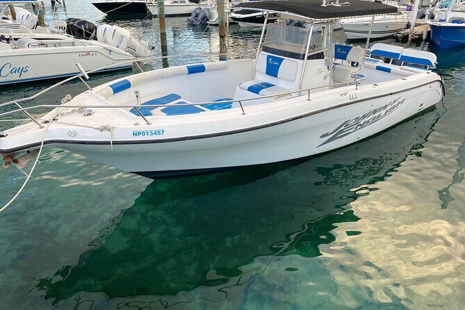 Pigs Beach, Green Turtle Cay, Rose Island Private Tour - Logistics, Comfort, and Value