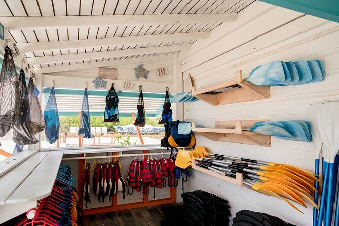 Pinel Island Adventure: Tandem Kayak Experience - The Bottom Line: Who Should Consider This Tour?