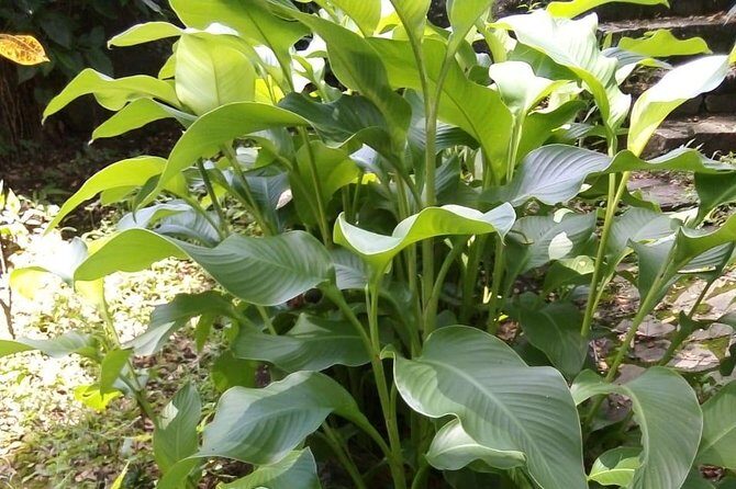 Pirates and Beach Tour with Detention Tours - The Itinerary Breakdown