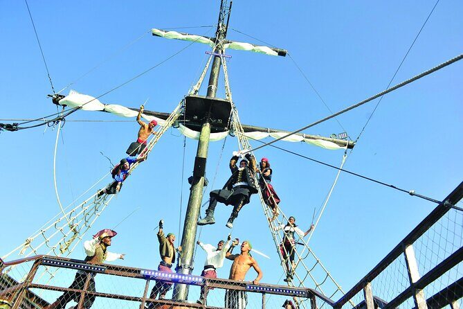 Pirates of the Caribbean Cruise- Snorkel, Sharks & Stingrays - Value and Booking Considerations