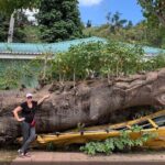 Pirates of the Caribbean Fun Tour - Who Will Love This Tour?