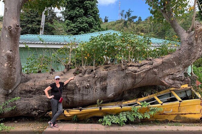 Pirates of the Caribbean Fun Tour - Who Will Love This Tour?