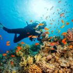 Playa Blanca: Scuba Diving Tour with Equipment - What Makes This Tour Special?