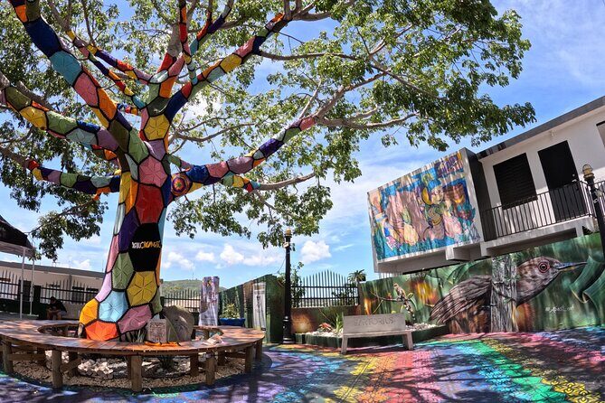 Ponce, Yauco, La Parguera & BioBay Full Day Experience - Authentic Feedback from Travelers