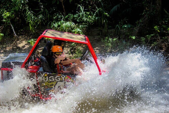 Pop Buggy Excursion from Amber Cove and Taino Bay Puerto Plata - Who Will Love This Tour?