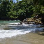 Port of Spain: Day Trip to Las Cuevas Beach - Authentic Moments & Traveler Feedback