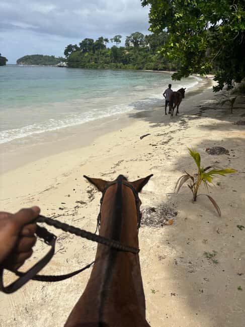 Portland, Jamaica: Horseback Riding Tour - The Itinerary in Detail