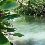 Portland Nature and Eco Tour Experience - Final Thoughts