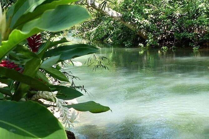 Portland Nature and Eco Tour Experience - Final Thoughts