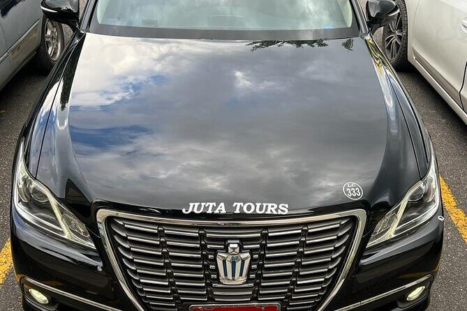 Princess Grand Jamaica Private Transport Experience - How the Experience Works