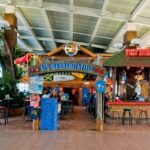 Princess Grand/ Senses The Mangrove Private Airport Transfer - In-Depth Look at the Transfer