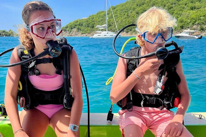 Private 2-Tank Dive with PADI Instructor for Certified Divers - Setting the Scene: What to Expect on This Guided Underwater Adventure