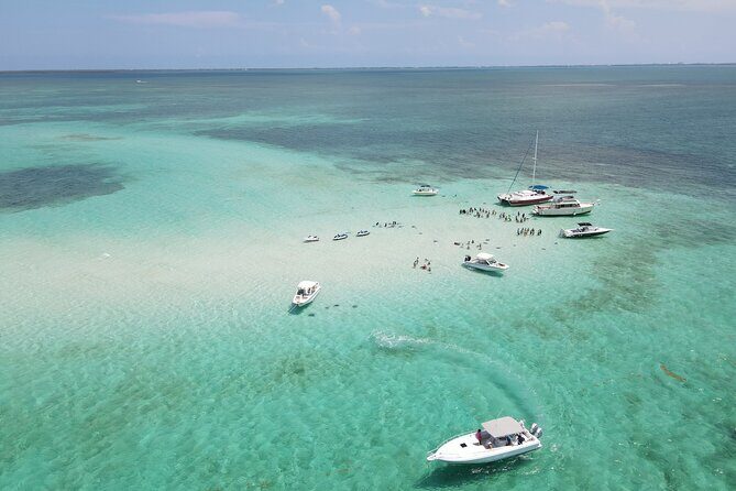 Private 4 hour Catamaran Tour - The Experience and Reviews: Authentic Voices