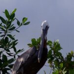 Private 6 Days All Included Tour from Sto Domingo to Punta Cana - The Itinerary in Detail