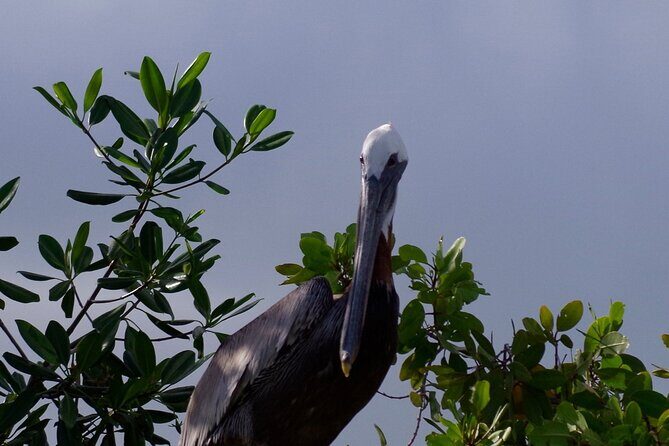 Private 6 Days All Included Tour from Sto Domingo to Punta Cana - The Itinerary in Detail